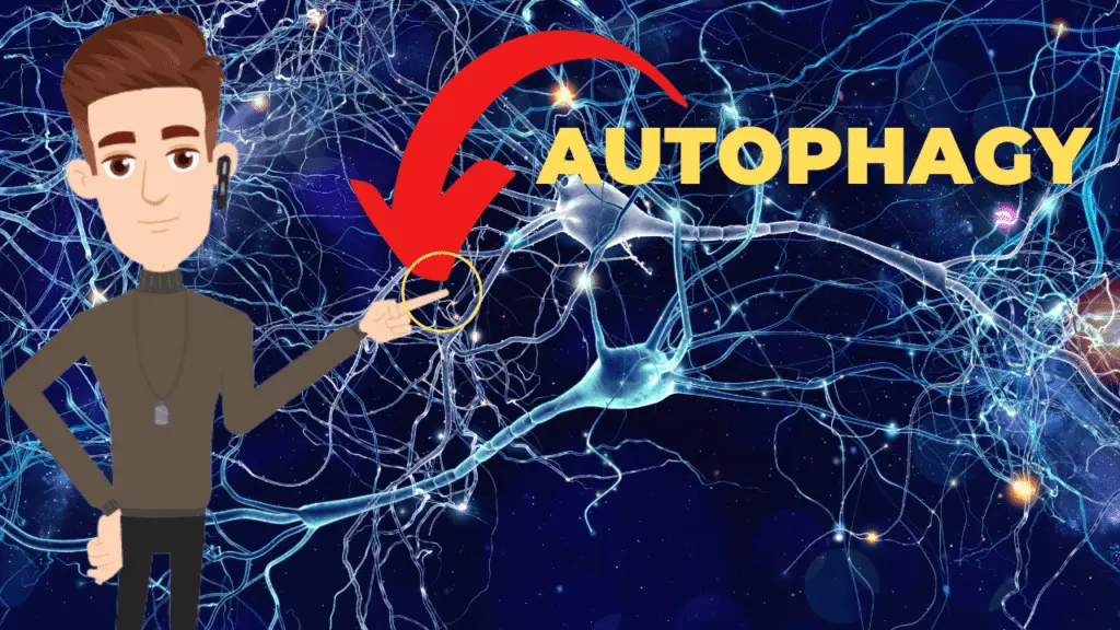 The Most Important Benefit Of Autophagy Will Surprise You