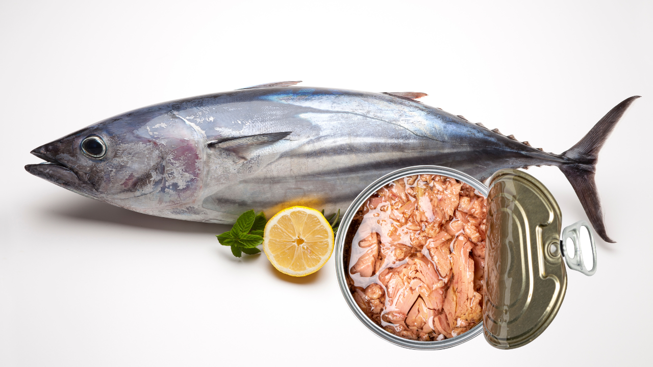 Best fish for keto - SyktoHealth